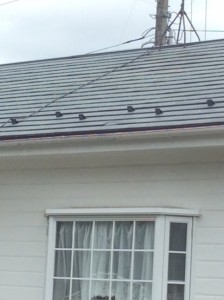 %e5%b1%8b%e6%a0%b9%e6%9d%90 | ベストハウスネクスト